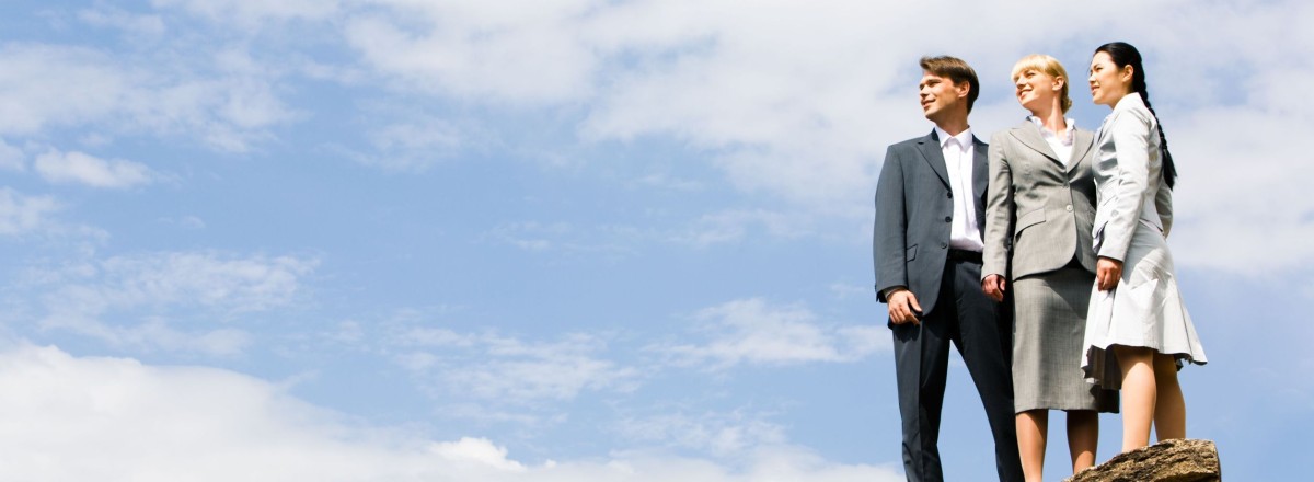 OmniVista Consulting – See Beyond the Horizon